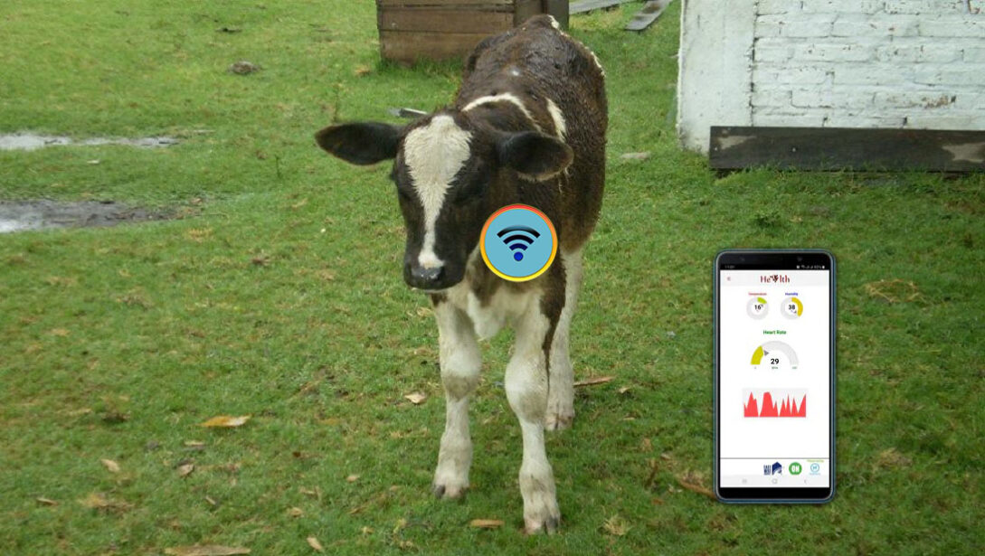 Sistema IoT inteligente para el monitoreo de la salud animal ...
